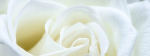 Colour White | The Meaning Psychology and Symbolism