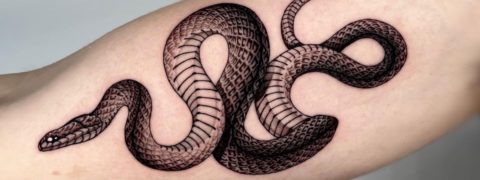 The Meaning Of A Snake Tattoo On Your Body